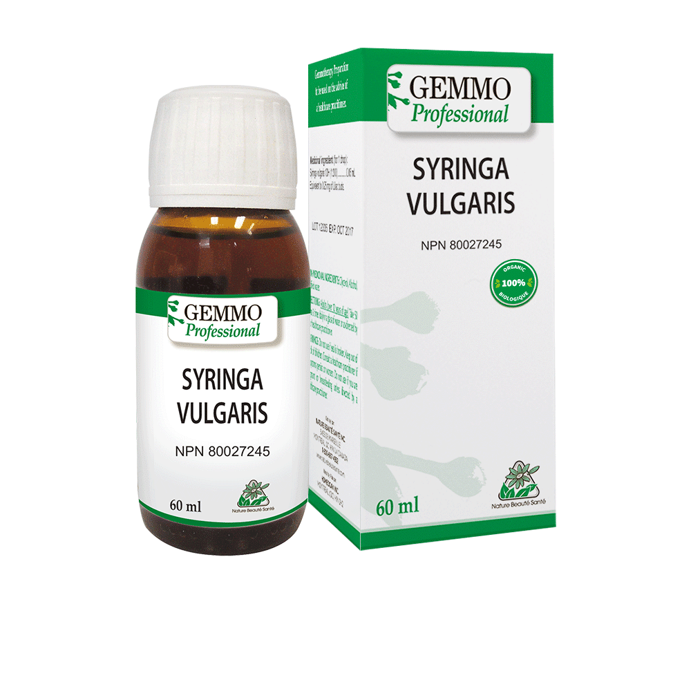 Syringa vulgaris bio - Nature Beauté Santé – Homeocan
